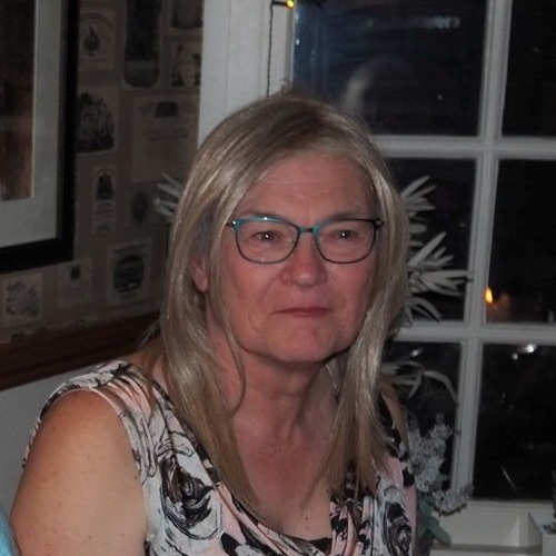 About Us - TransLucent