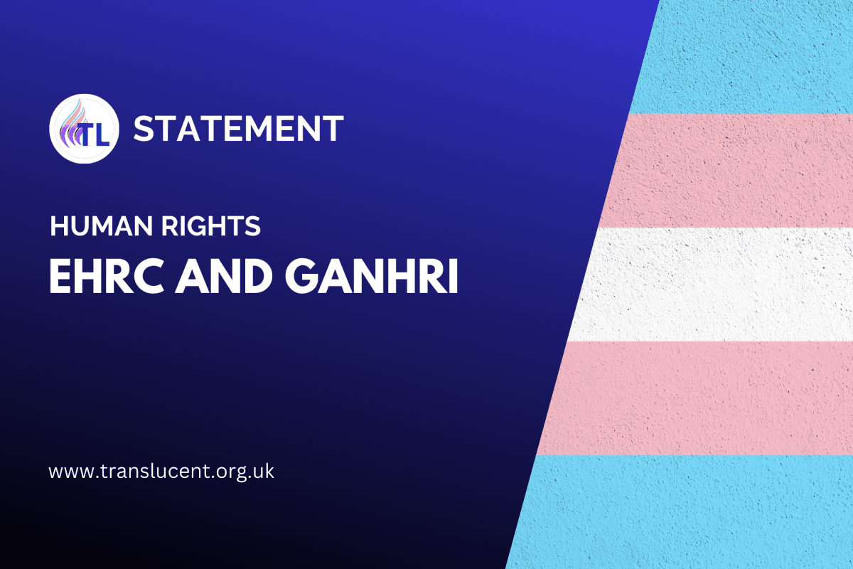 About Us - TransLucent